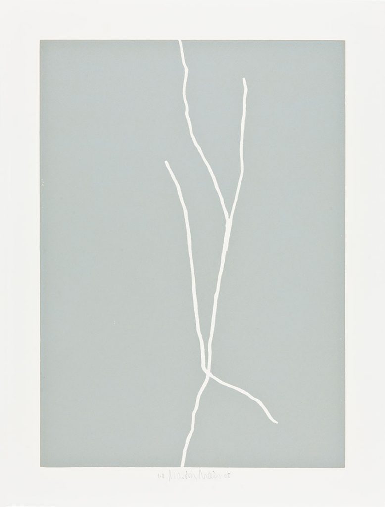 Madeira | Martin Noel